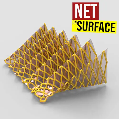 Net on Surface - Parametric House