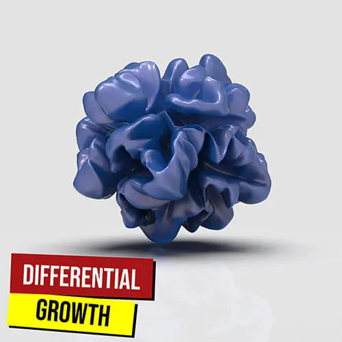 Differential Growth - Parametric House