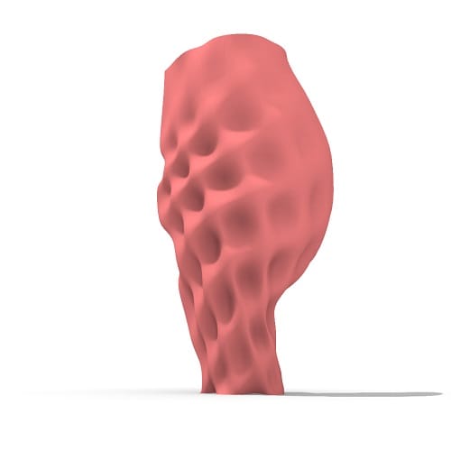 Surface Bumps - Parametric House