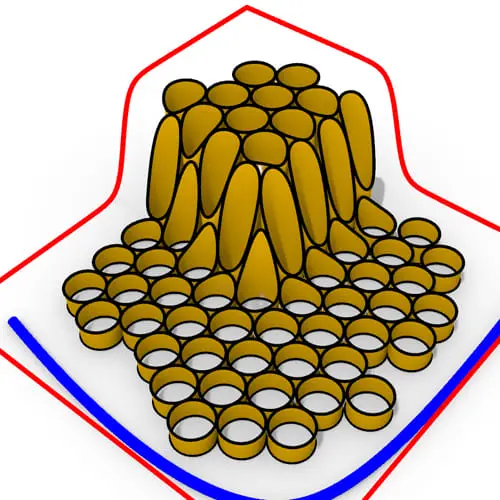 Circle Packing Split - Parametric House