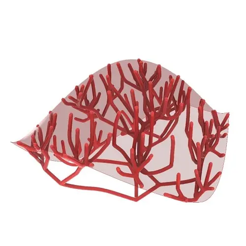 Stella3D Particles - Parametric House