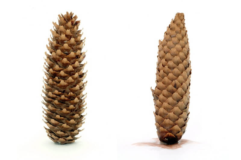 Responsive Surface - Parametric House