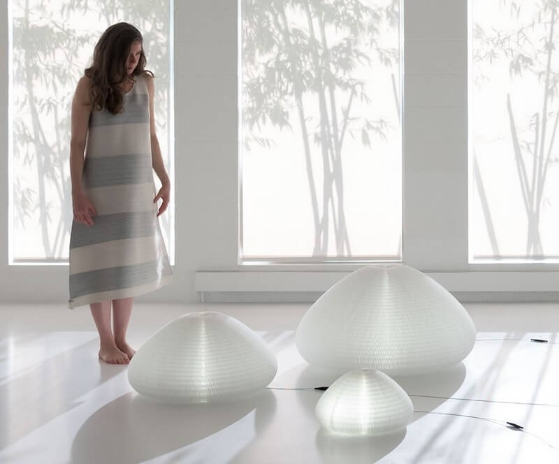 Urchin Softlight - Parametric House