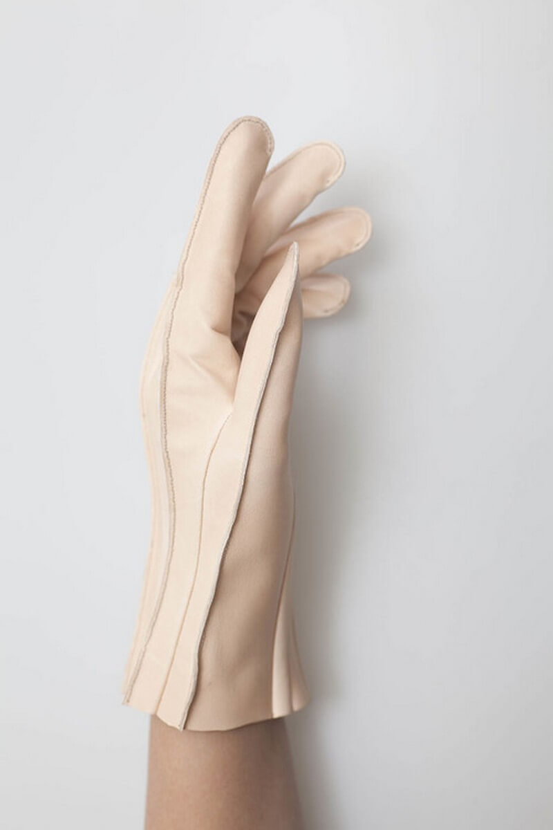 The Anatomy of the Hand - Parametric House