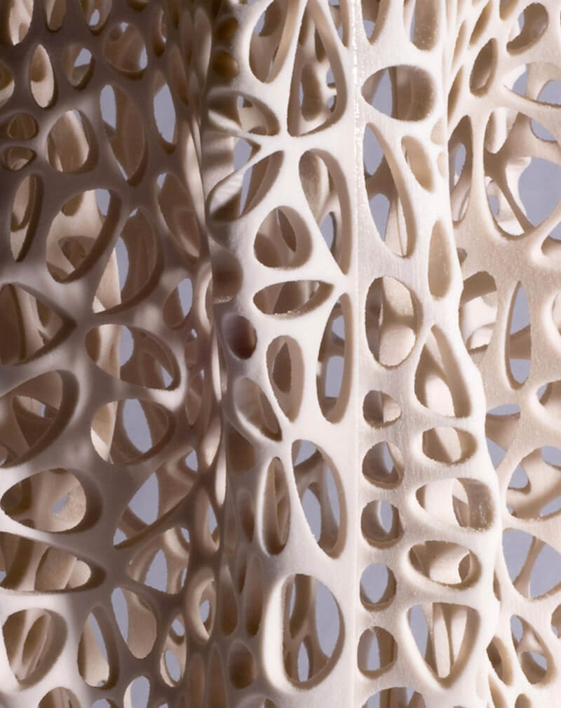 Monocoque 2 - Parametric House