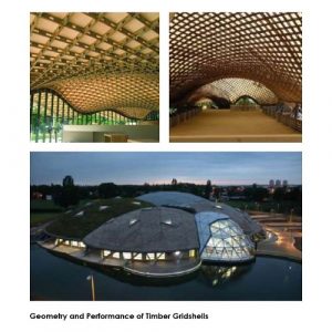 Timber Gridshells - Parametric House