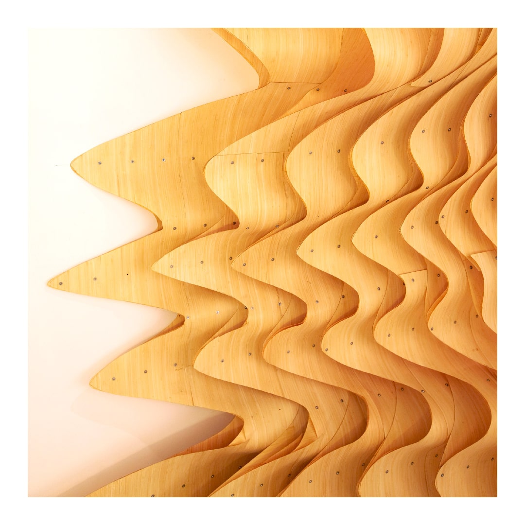 Double-Curved Form - Parametric House