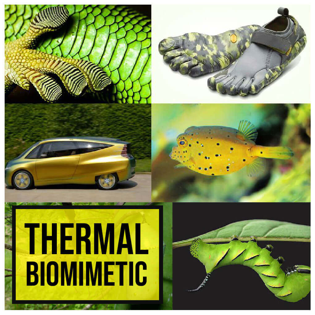 Thermal Biomimetic - Parametric House