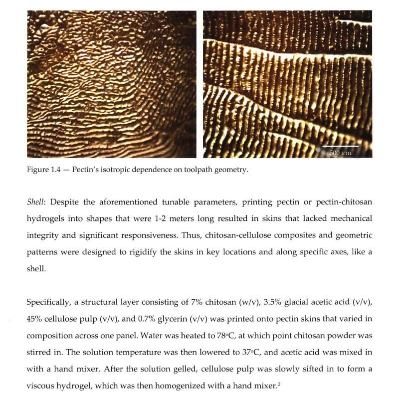 Biogenic Fabrication - Parametric House