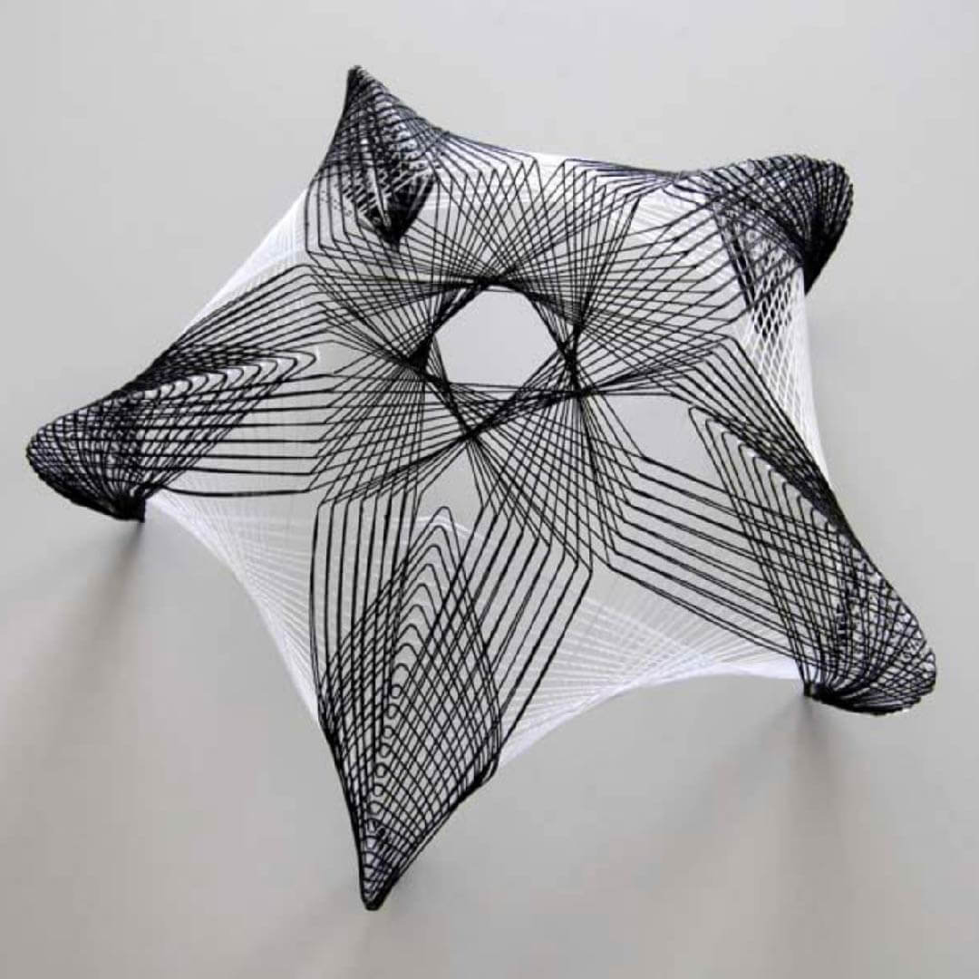 Biomimetic Architecture Parametric House