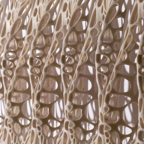 Monocoque 2 - Parametric House