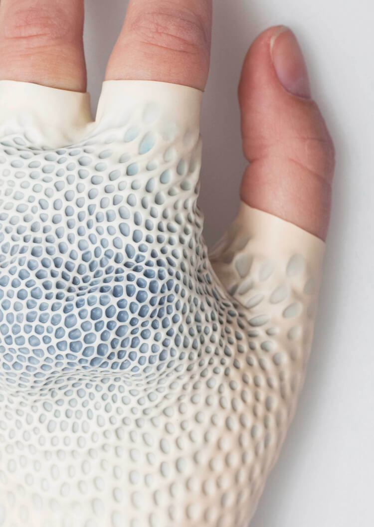 The Anatomy of the Hand - Parametric House