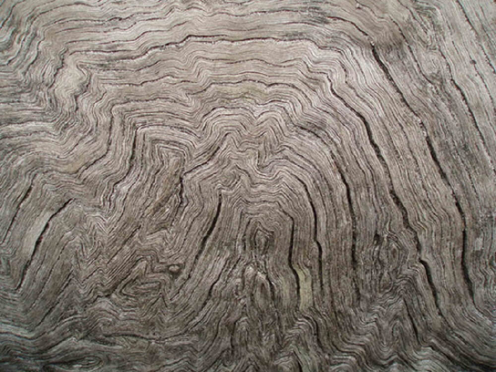 Origami World - Parametric House