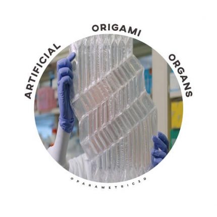 Origami Organs - Parametric House