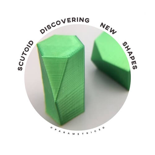 Scutoid - Parametric House